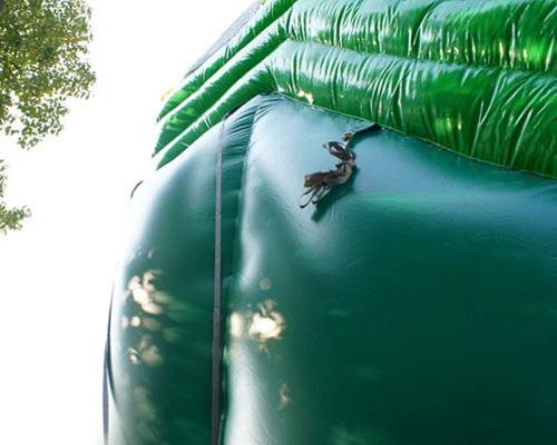 20'H Palm Tree Screamer Slide – Moonwalk USA